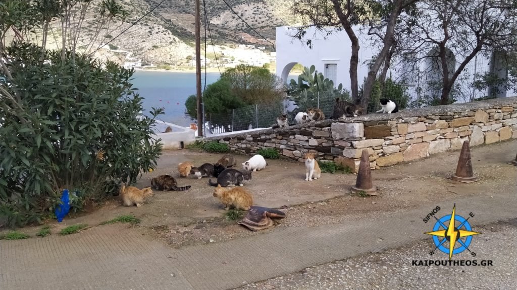 ΔΗΜΟΣ ΣΙΦΝΟΥ: ΤΟ ΕΝΤΥΠΟ ΒΕΒΑΙΩΣΗΣ ΜΕΤΑΚΙΝΗΣΗΣ ΓΙΑ ΣΙΤΙΣΗ ΑΔΕΣΠΟΤΩΝ ...