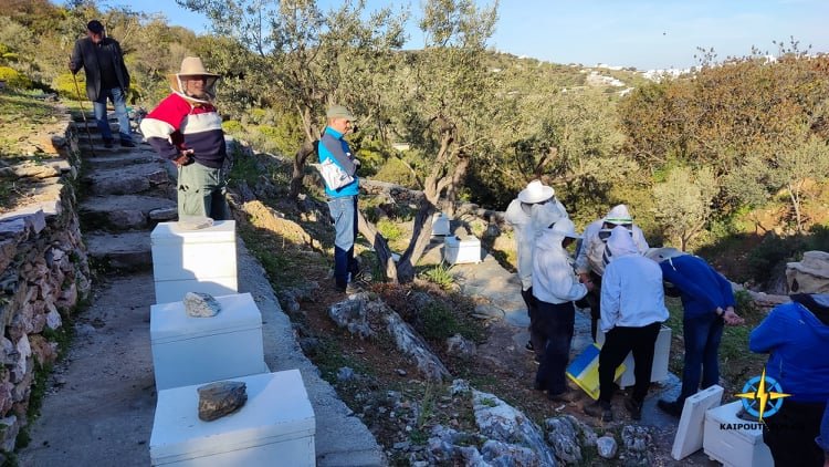 Ο μελισσοκόμος είναι ο μόνος αγρότης που πολεμά ενεργά την κλιματική ...